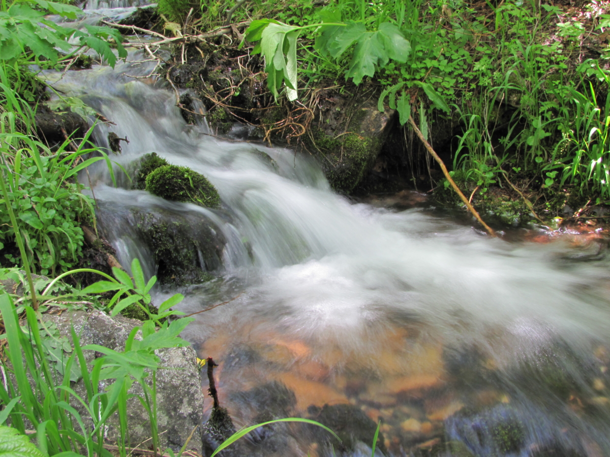 Living Water – How God Saves